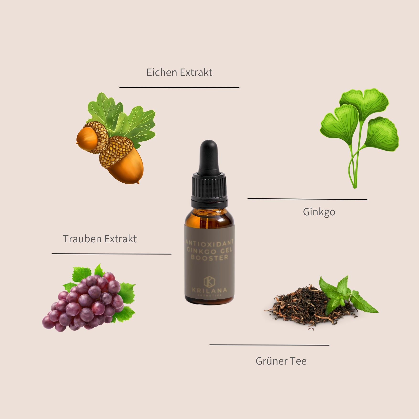 Antioxidant Ginkgo Gel Booster – KRILANA COSMETICS